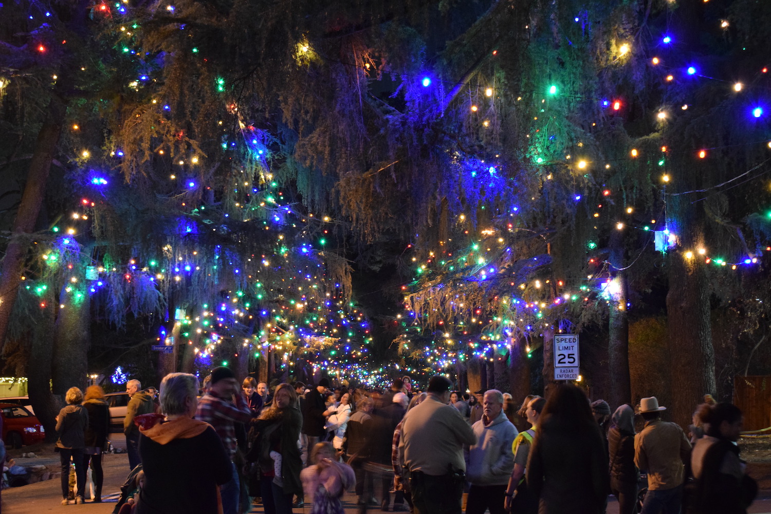Christmas Tree Lane Altadena – Since 1920